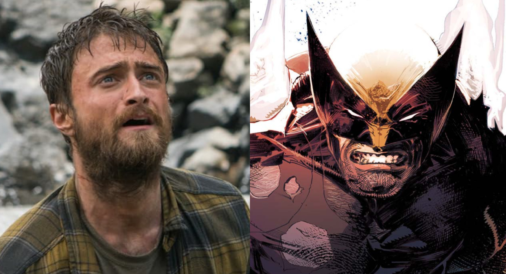 Wolverine: Daniel Radcliffe addresses rumors he's playing the X-Men ...