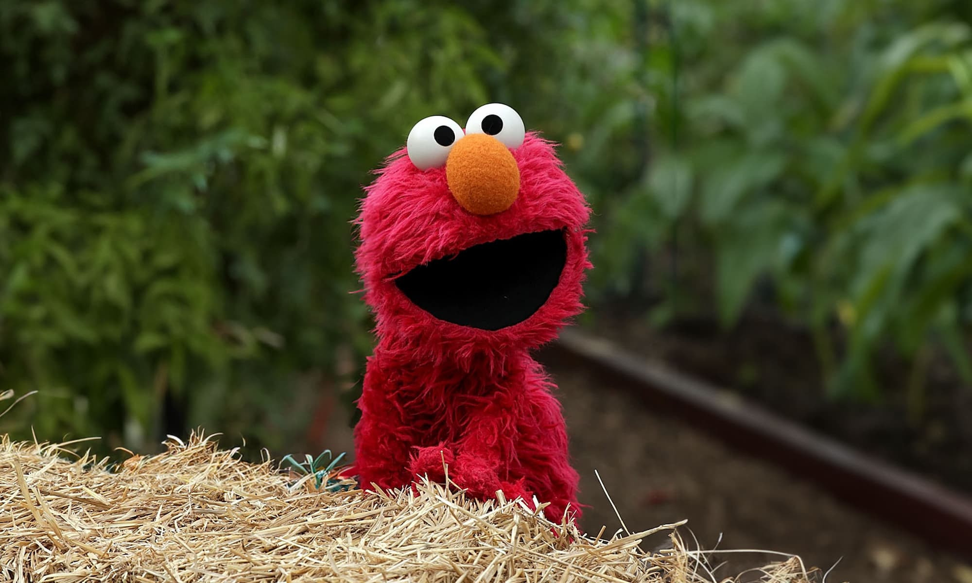 Netflix learns about cooperation via a new Sesame Street sharing deal ...