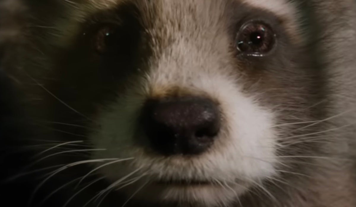 What the first Guardians of the Galaxy Vol. 3 trailer tells us about ...