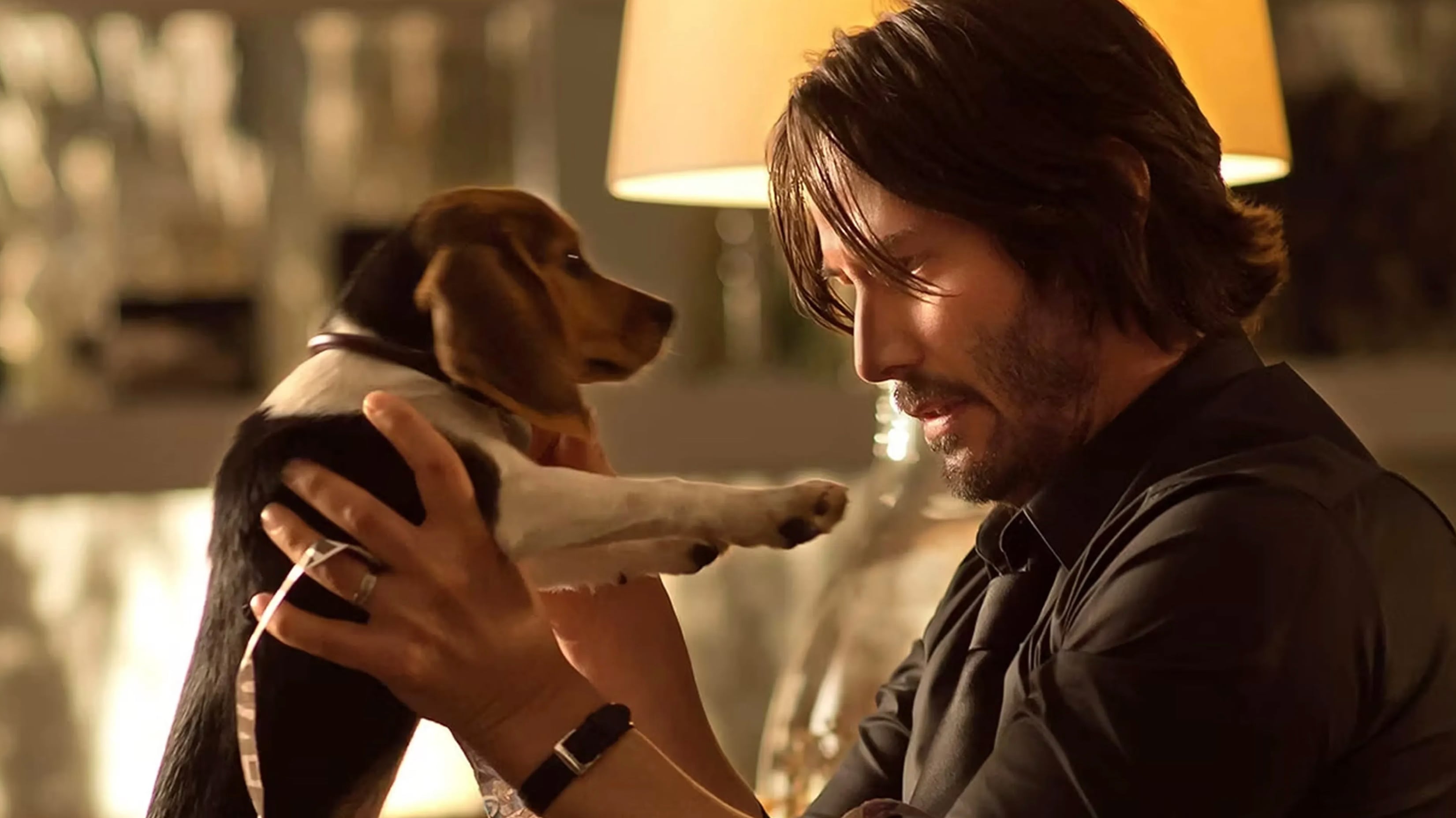 If the studio had its way, John Wick's dog wouldn't have died in the ...