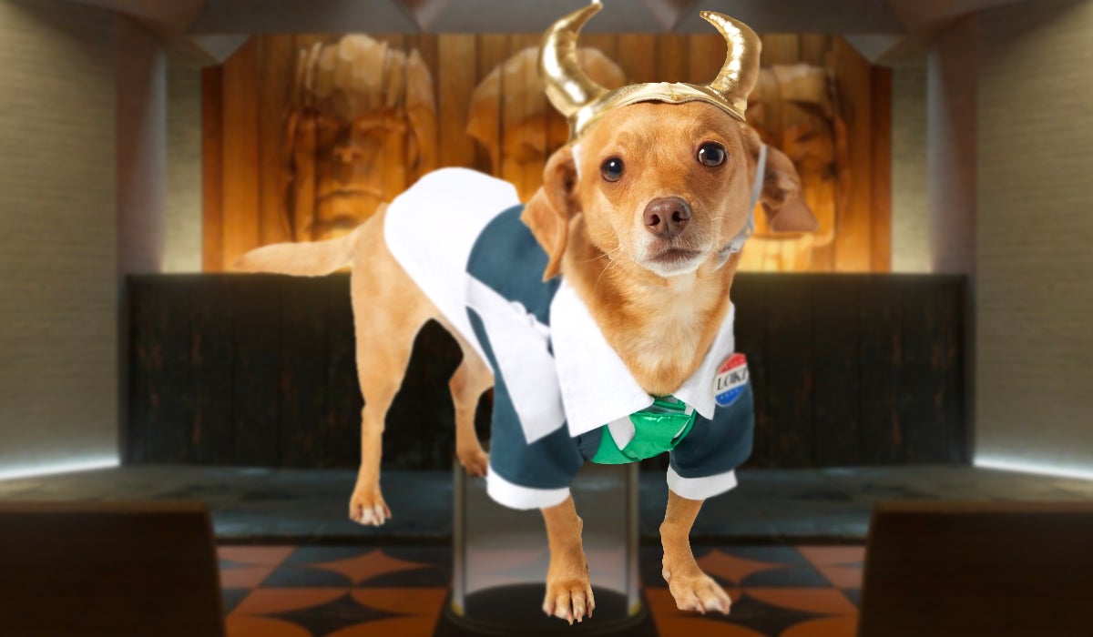 The best part of Loki season 2 is this pet merchandise | Popverse