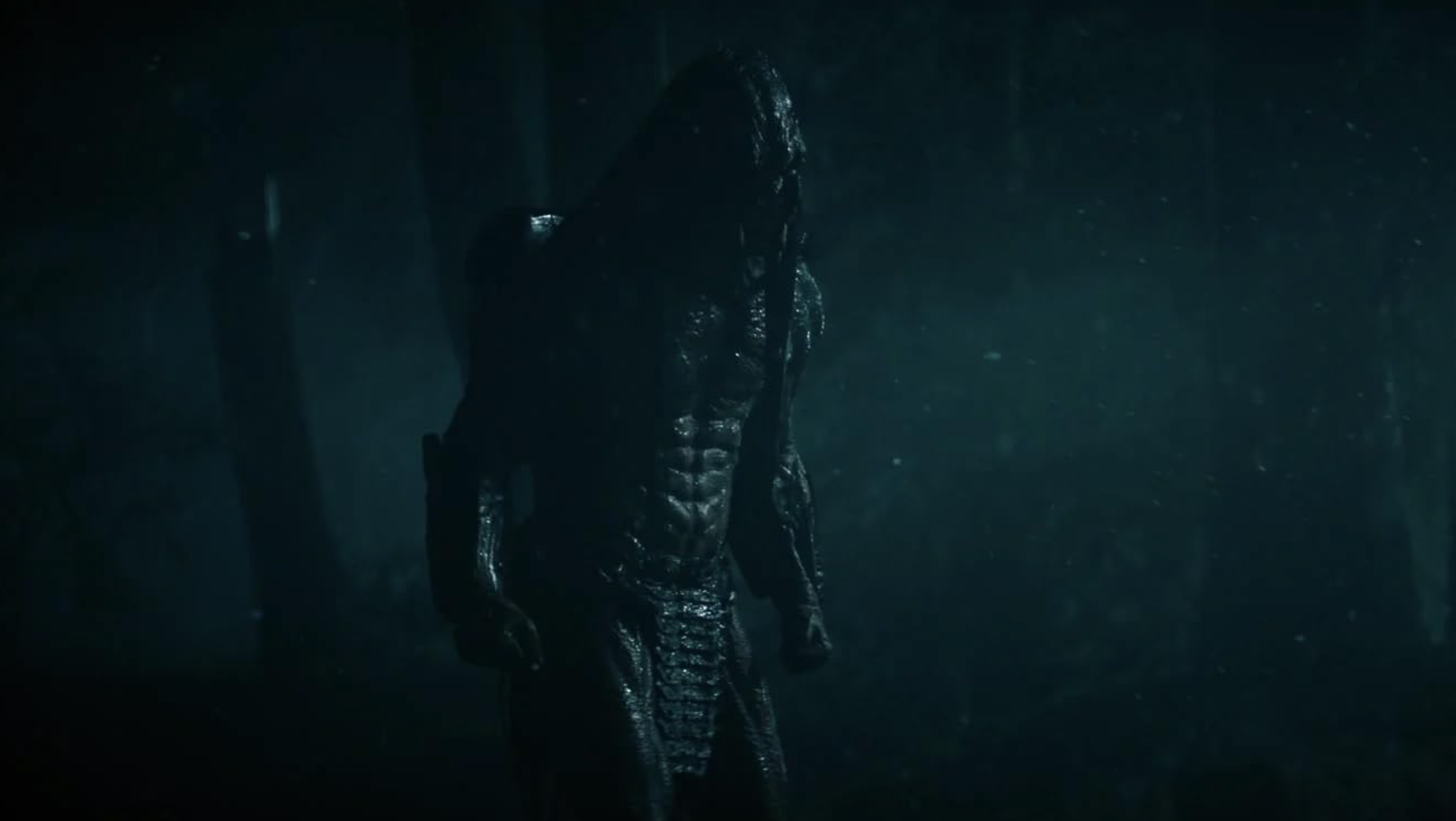 Predator: Badlands has a killer difference for the franchise: audiences ...