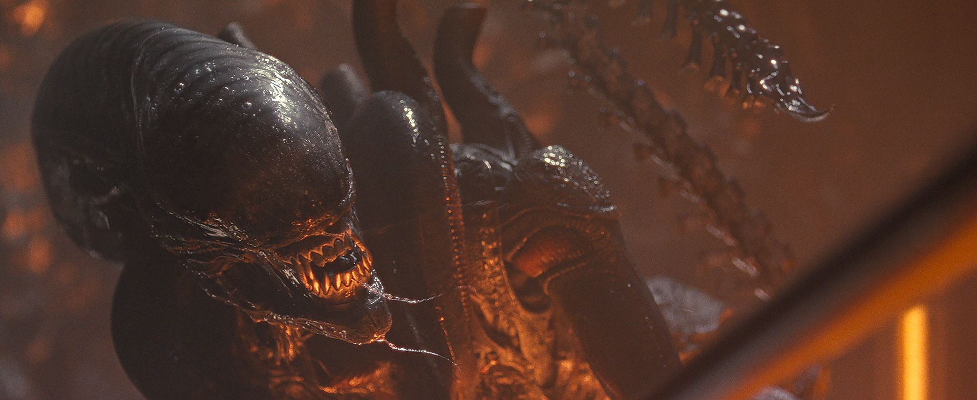 From Prometheus through Romulus (and beyond!), here's how to Watch the ...