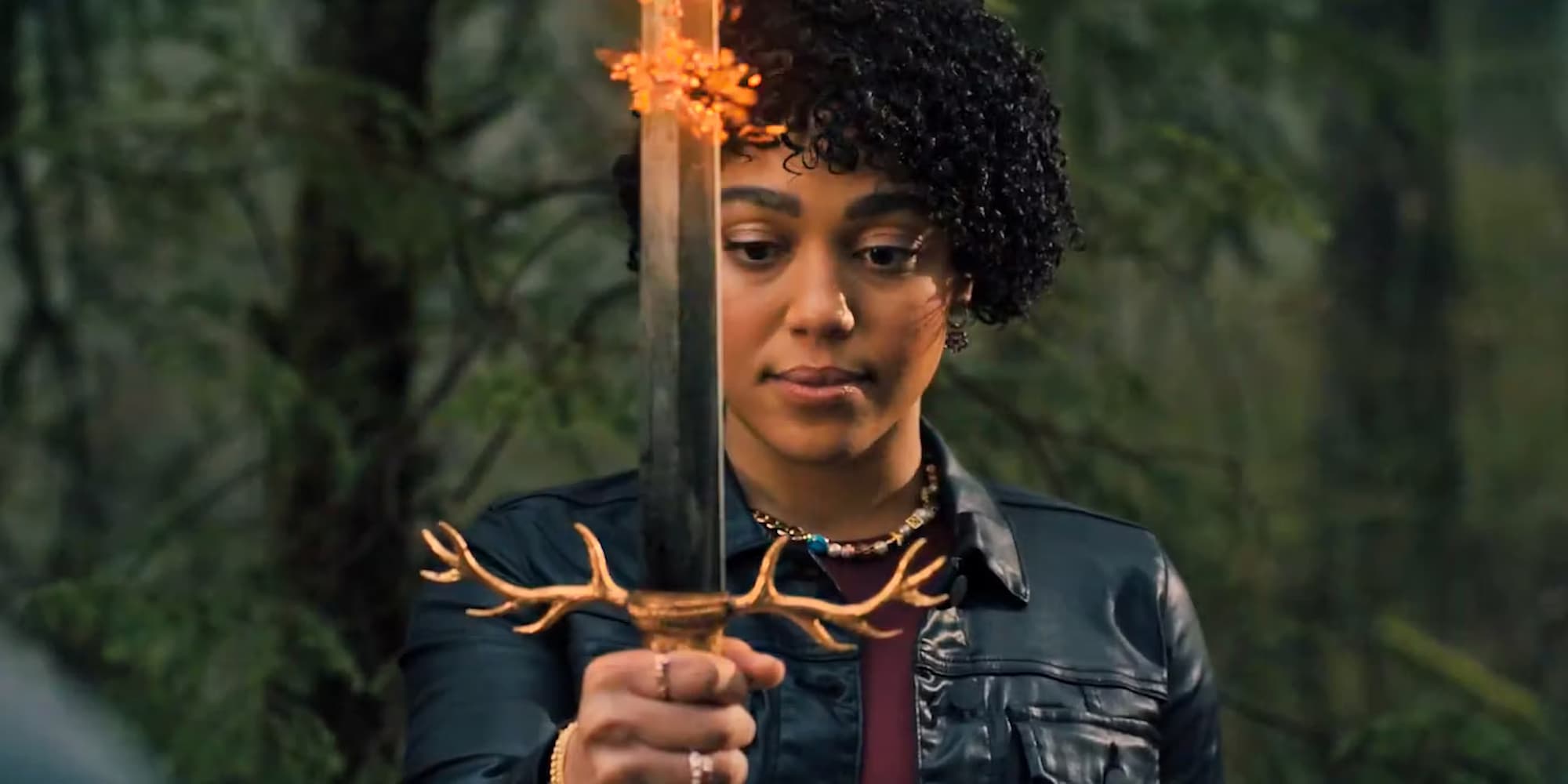 The Spiderwick Chronicles release date: When (and where) is the latest ...