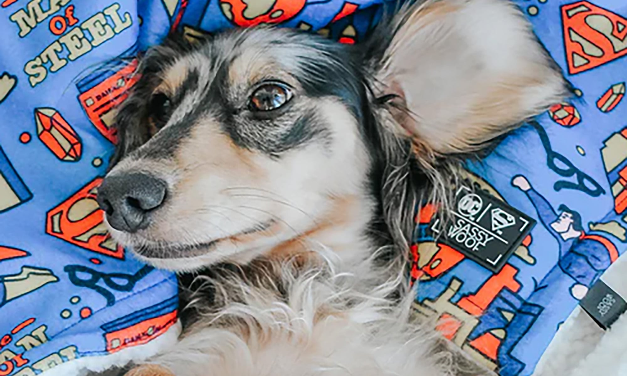 Forget all-ages, we need more pet-friendly Superman comics & merch for ...