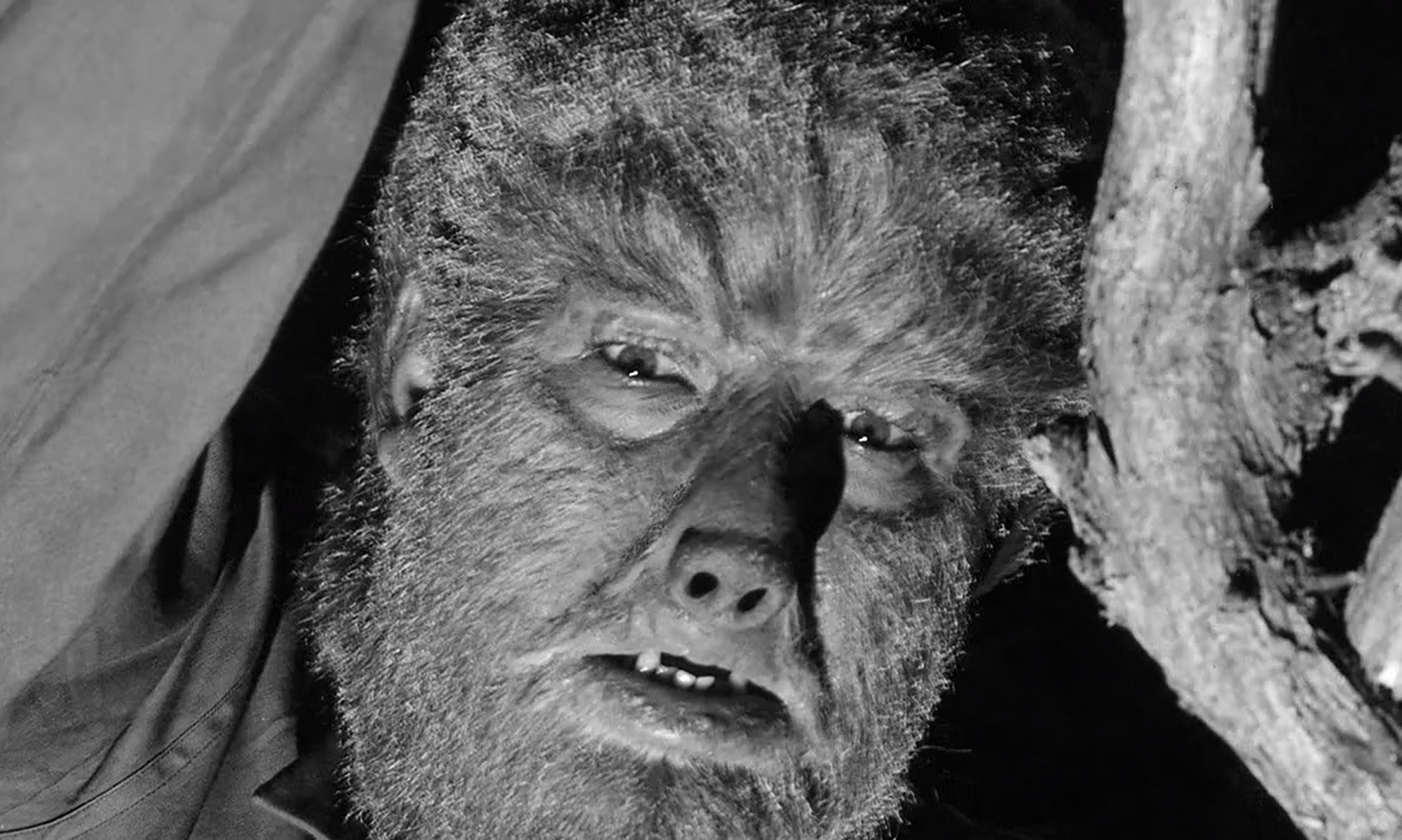 Blumhouse's Wolf Man reboot first look debuts at CinemaCon | Popverse